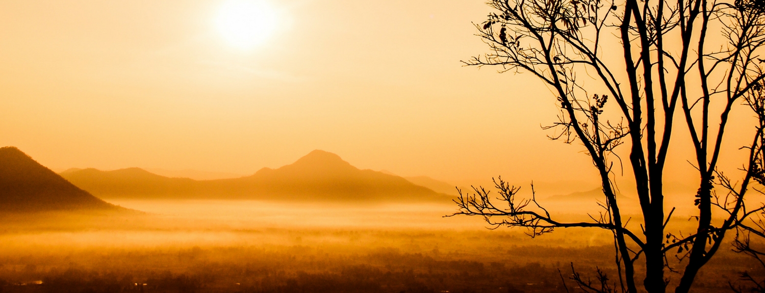 Copy of 1500px x 575px untitled design InterPrac Copy of 1500px x 575px untitled design InterPrac